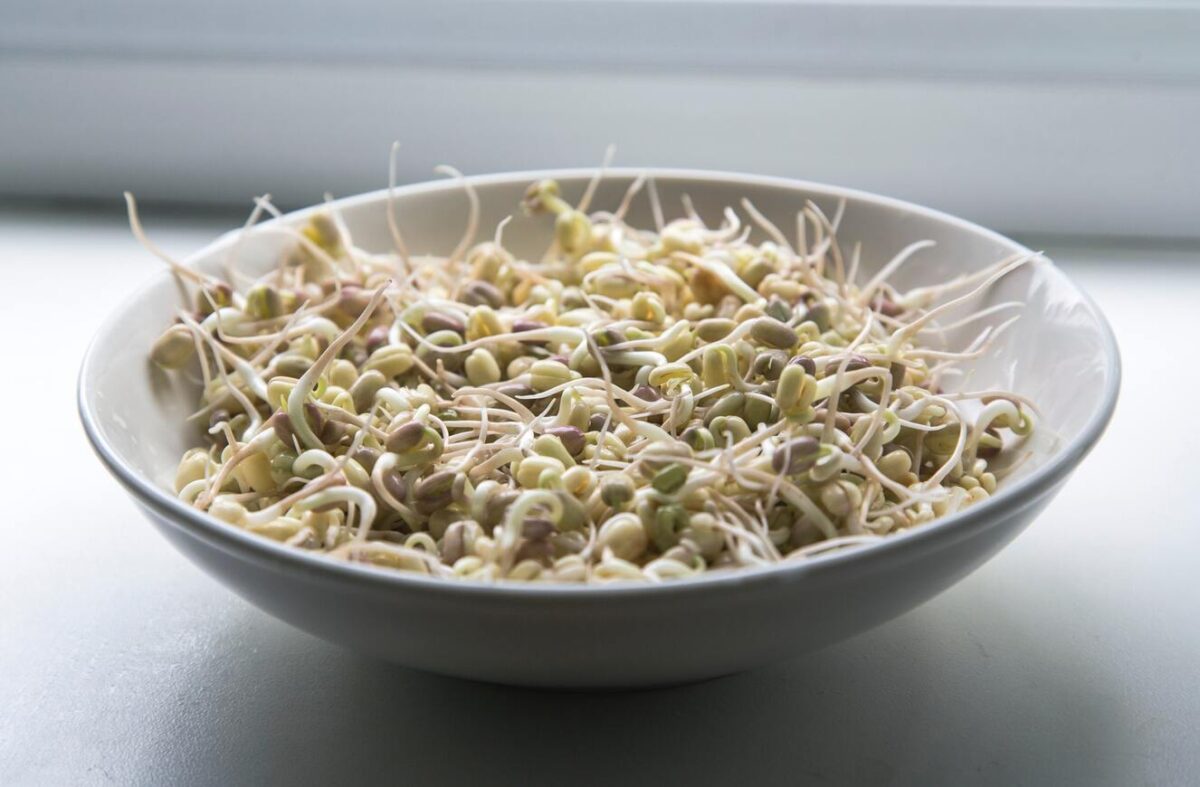 Germinados: Qué Son, Propiedades y Alimentos | Kuoko
